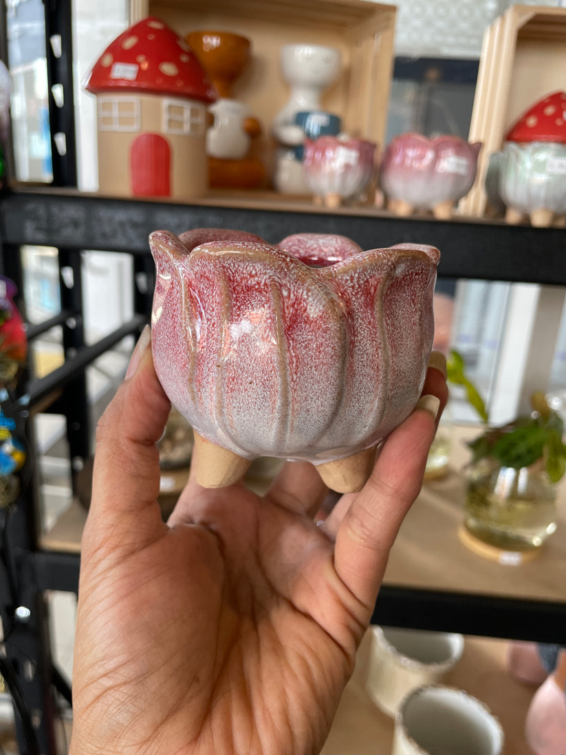 Set of 2 small Ceramic Pots | Wera Plants