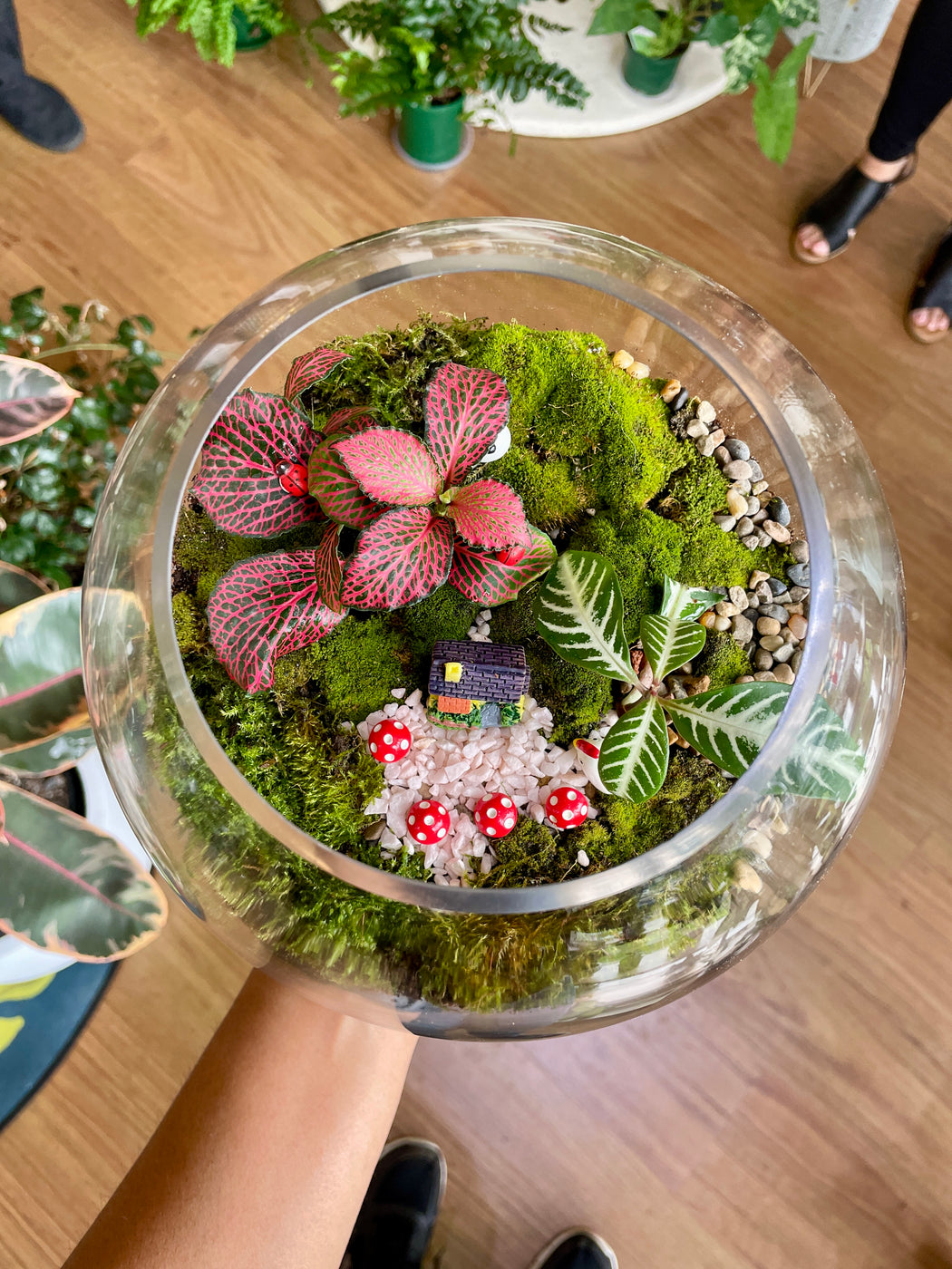 Brunnings Hydro Clay Pebbles – Aeration & Drainage for Healthy Roots ...